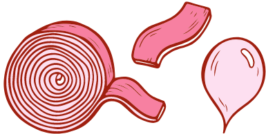 Types of chewing gum | Health Chewing Gum